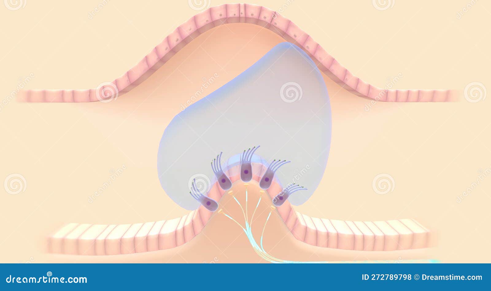 Semicircular Mind Map Infographic For Business Presentation Vector ... Semicircular Mind Map Infographic For Business Presentation Vector ...