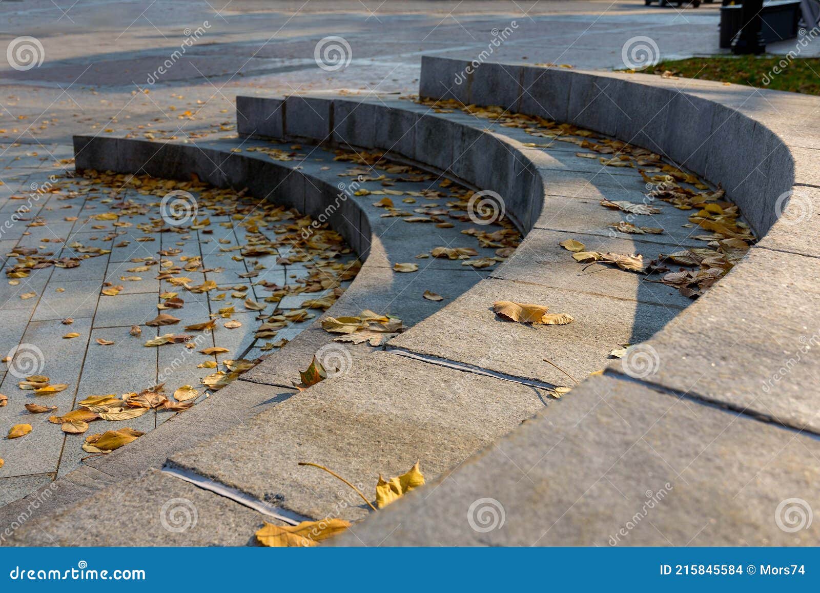 Semicircular Stone Steps with Fallen Yellow Foliage Stock Photo - Image ...