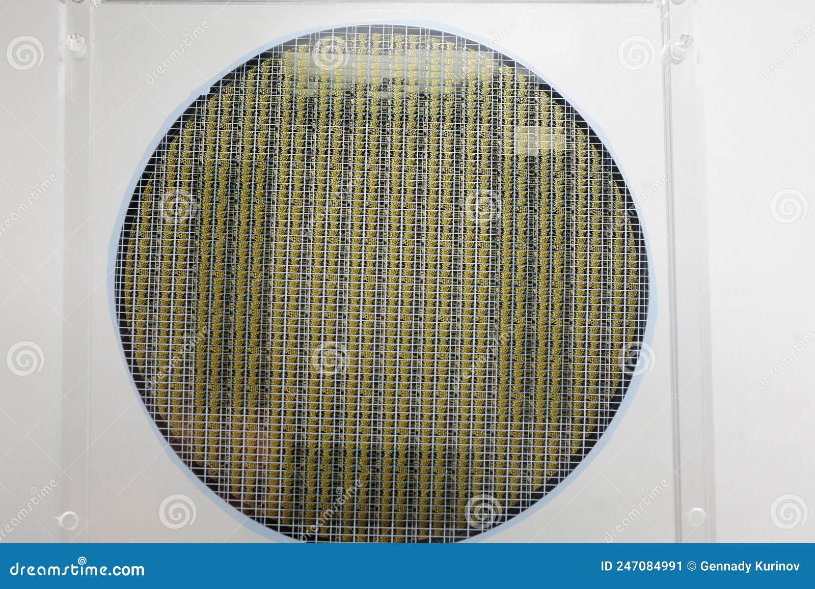Semiconductor Silicon Wafer in a Plastic Tray Stock Image - Image of ...