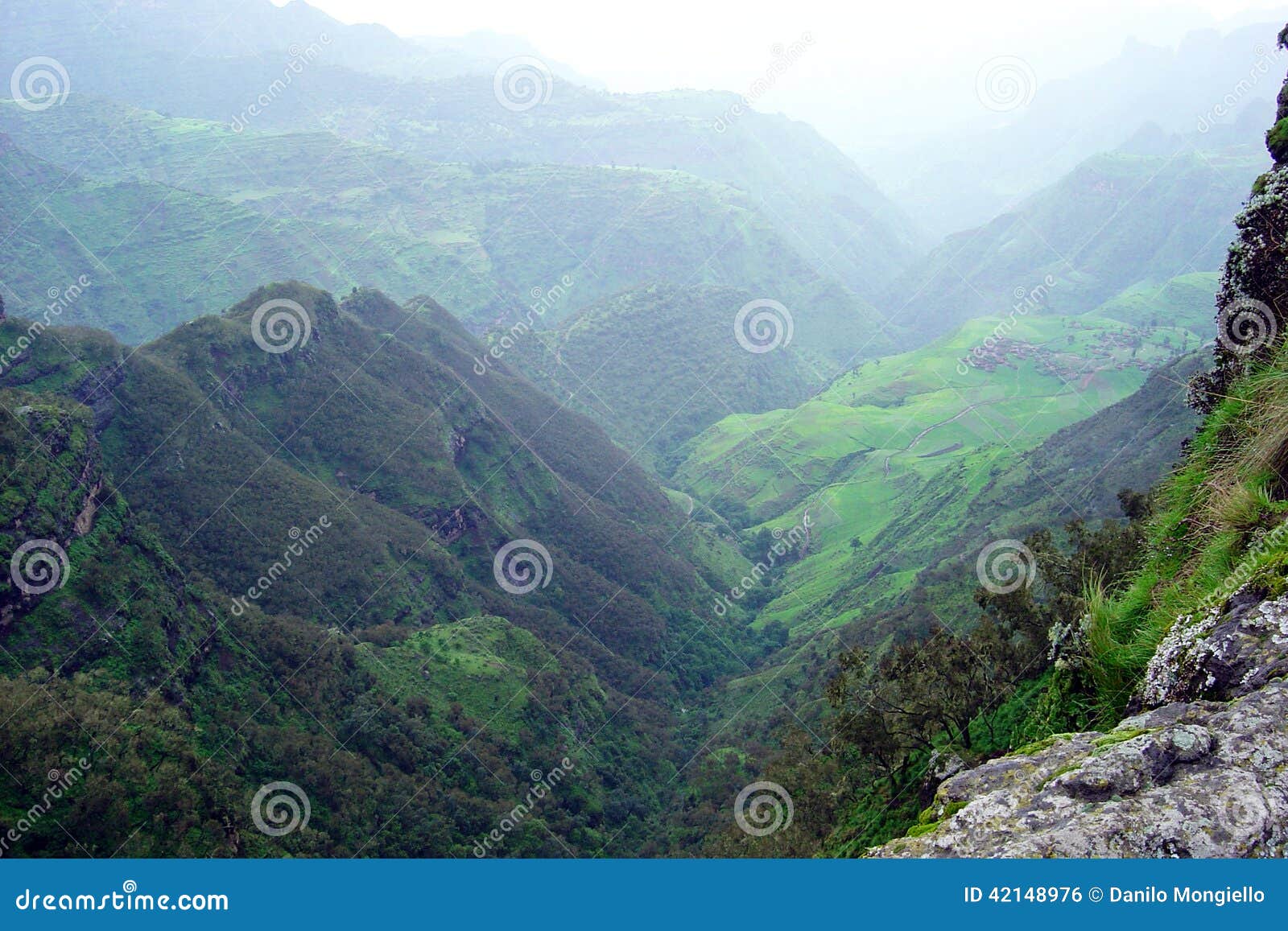Semien stock photo. Image of high, mountains, park, tigray - 42148976