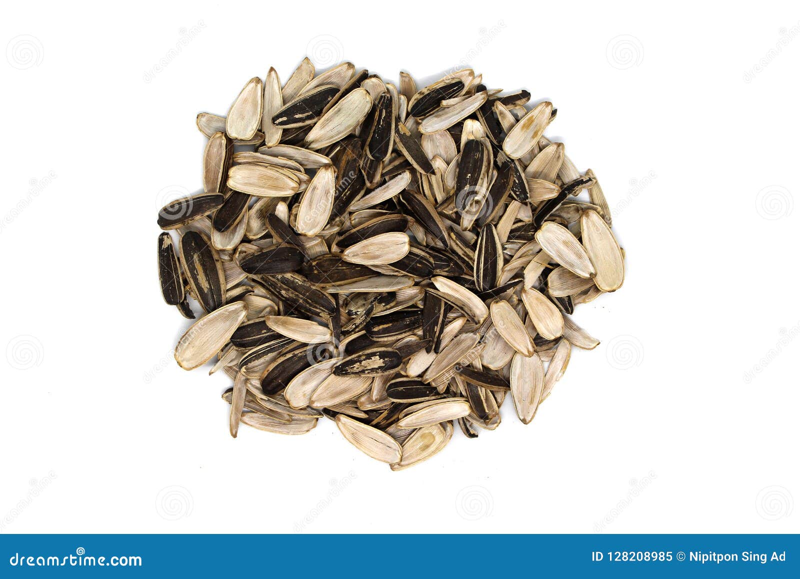 Semilla De Flor De Sun Aislada En El Fondo Blanco Imagen de archivo ...