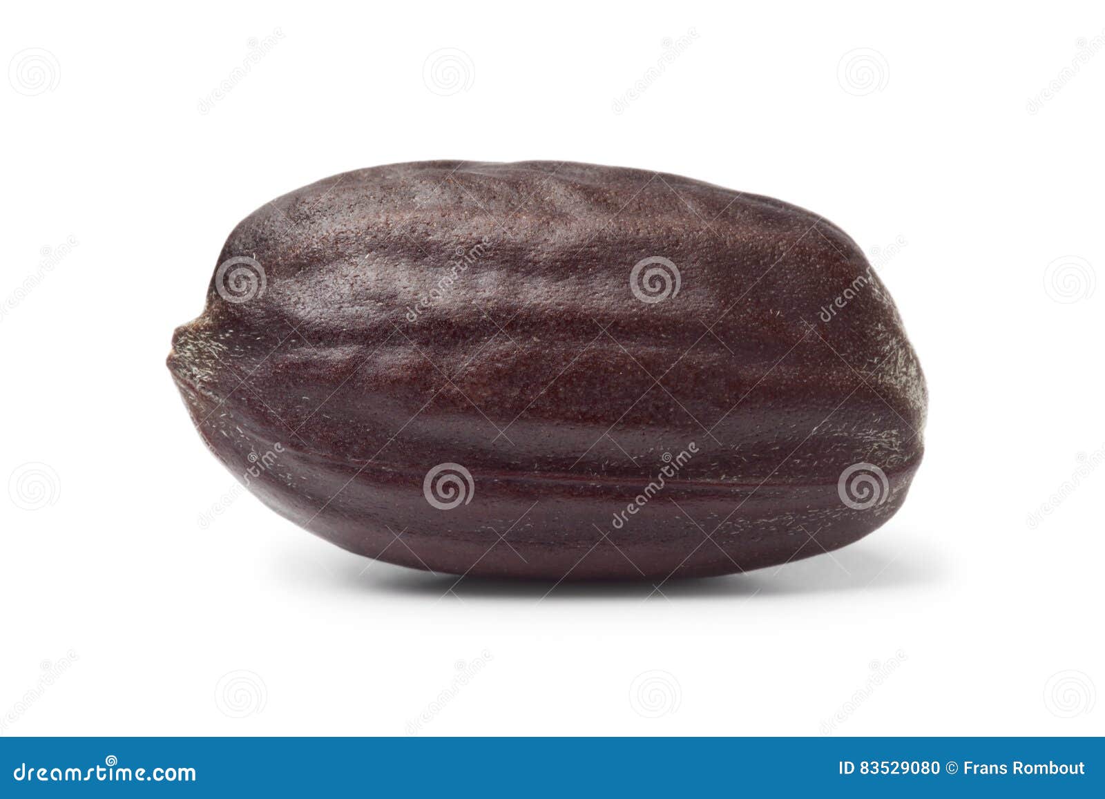 Semilla de la jojoba foto de archivo. Imagen de cosmético - 83529080