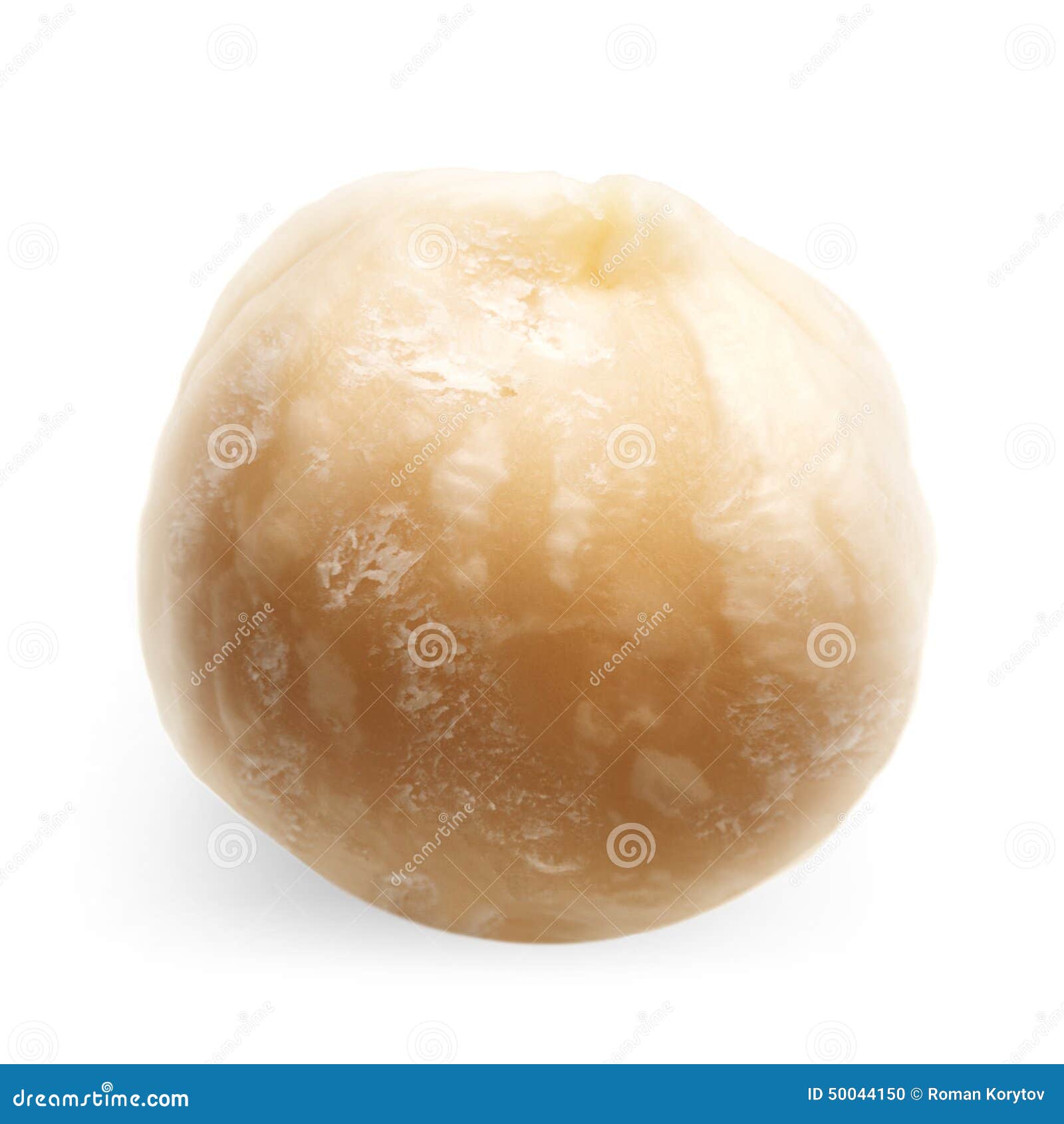 Semilla De La Nuez En Un Fondo Blanco Foto de archivo - Imagen de ...