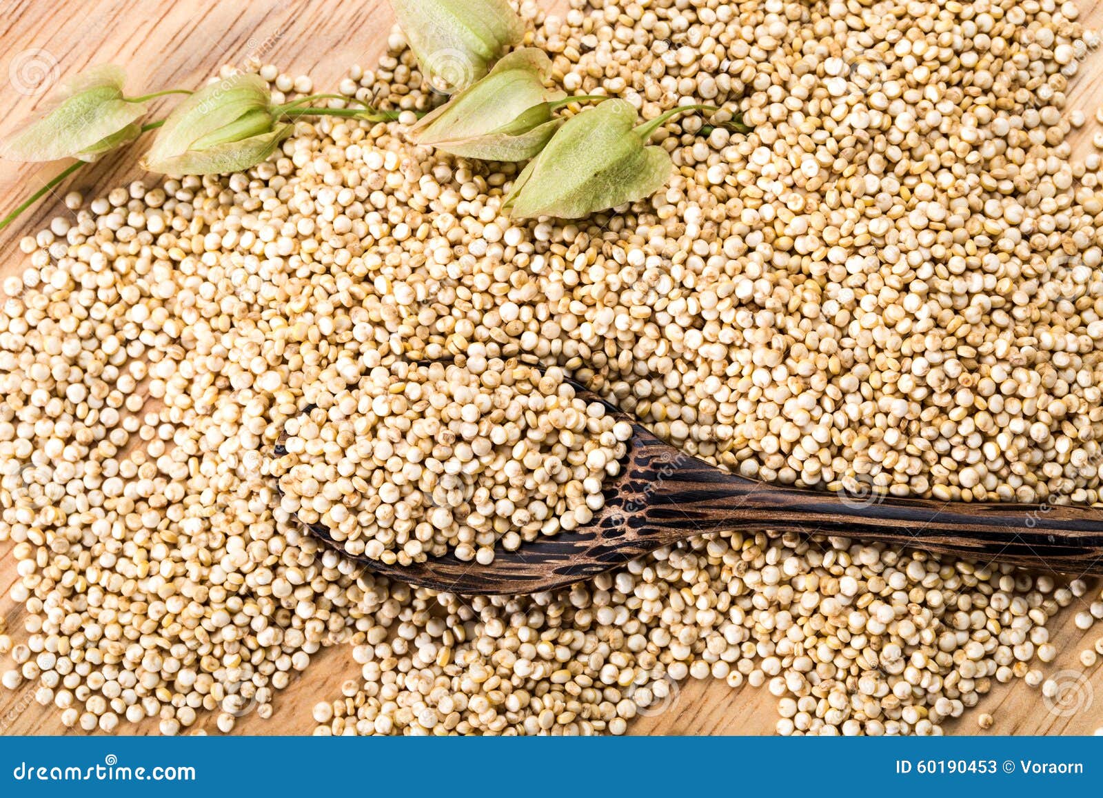 Semilla de la quinoa imagen de archivo. Imagen de nutritivo - 60190453