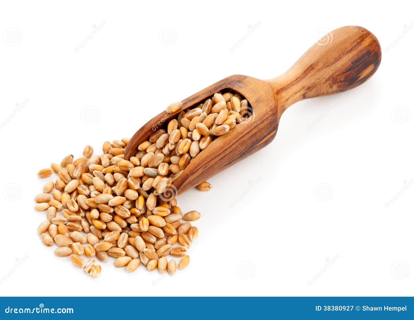 Semilla del trigo imagen de archivo. Imagen de madera - 38380927