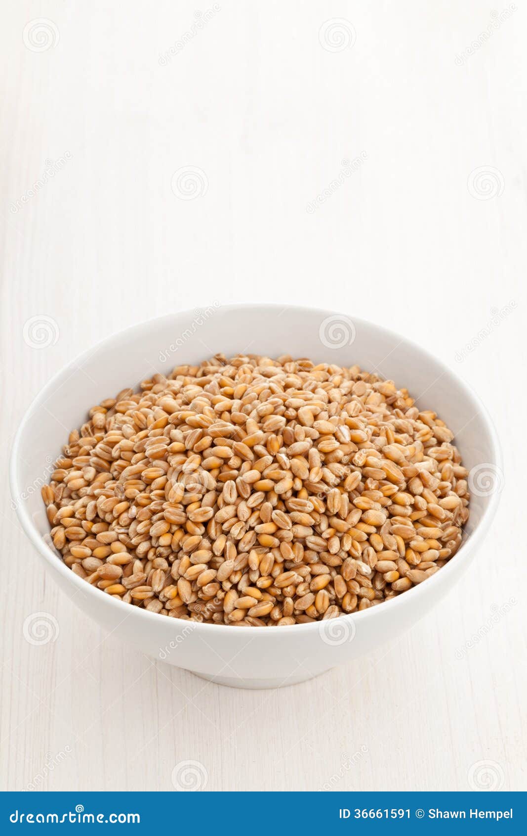 Semilla Del Trigo En Cuenco Imagen de archivo - Imagen de dieta ...