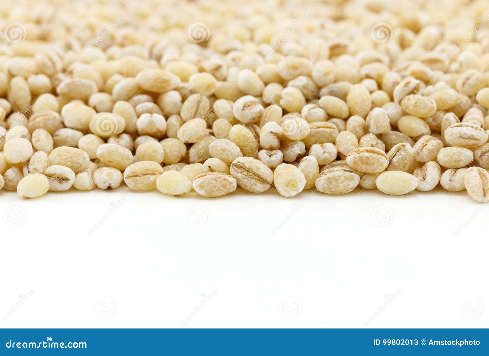 Semilla Pelada Secada De La Cebada Con El Espacio De La Copia En El ...