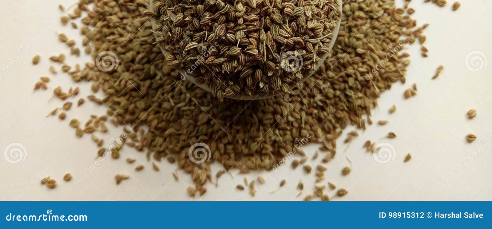 Semillas de apio foto de archivo. Imagen de especia, fondo - 98915312