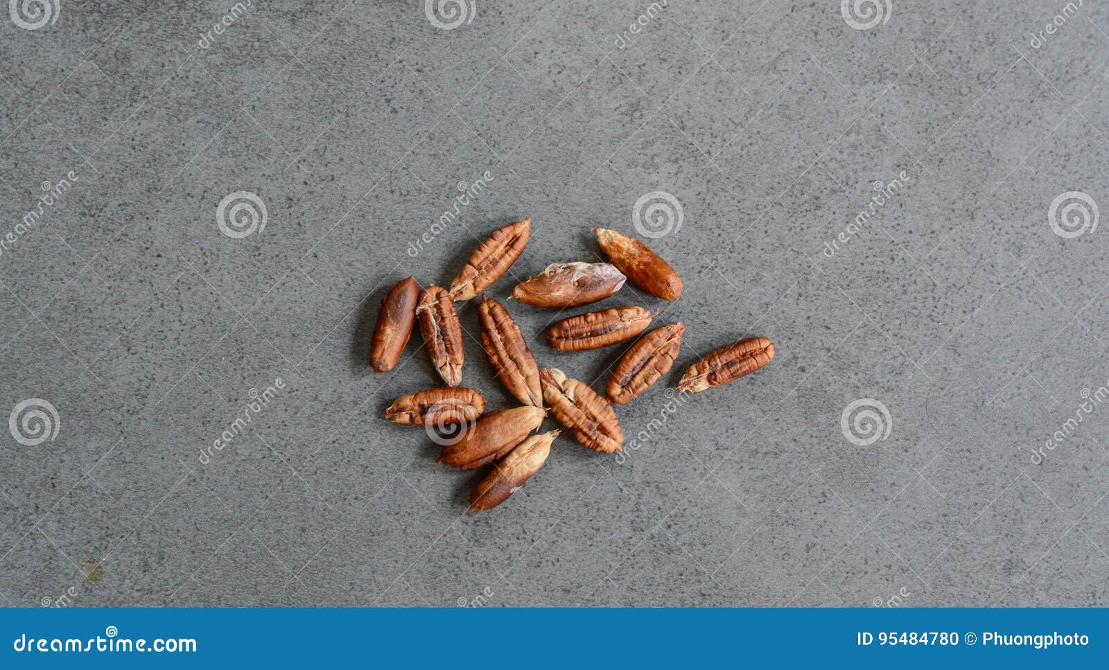 Semillas De La Palma Datilera Foto de archivo - Imagen de palma ...