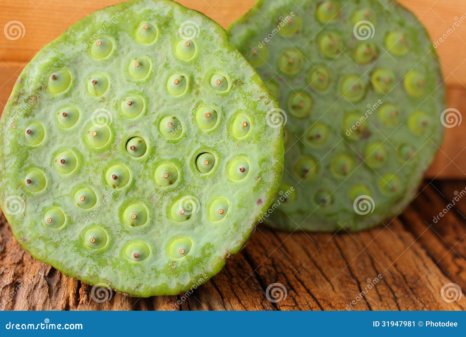 Semillas de Lotus imagen de archivo. Imagen de hermoso - 31947981