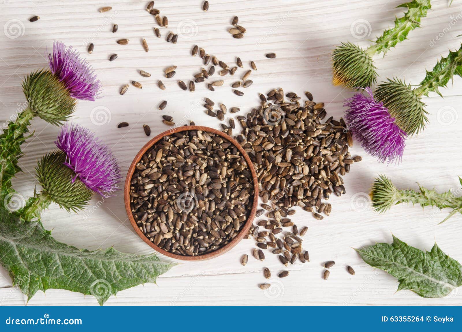 Semillas De Un Cardo De Leche Con La Flor Foto de archivo - Imagen de ...