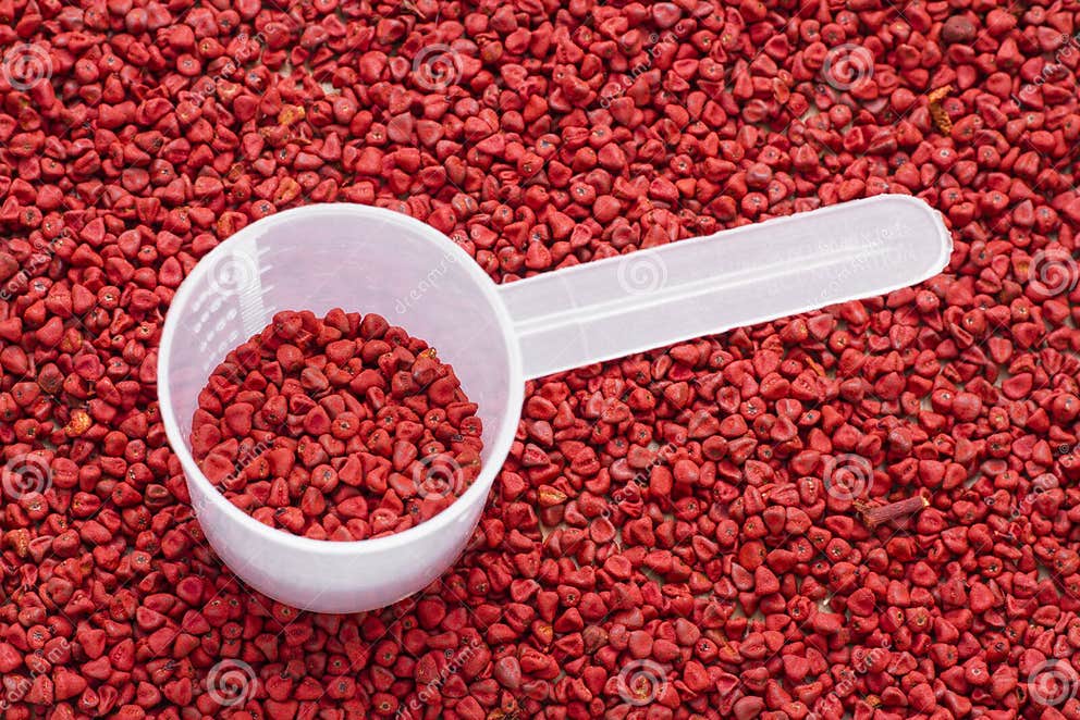 Semillas del achiote imagen de archivo. Imagen de germen - 96998689