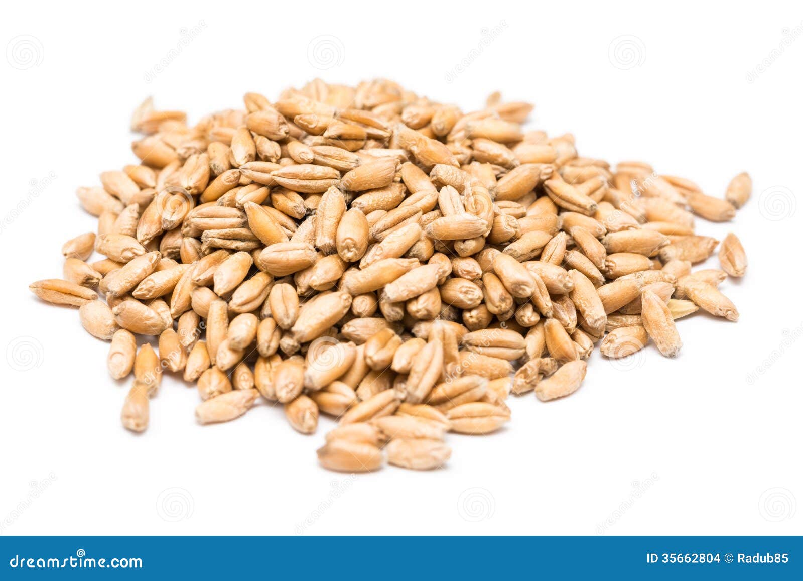Semillas del trigo foto de archivo. Imagen de cierre - 35662804