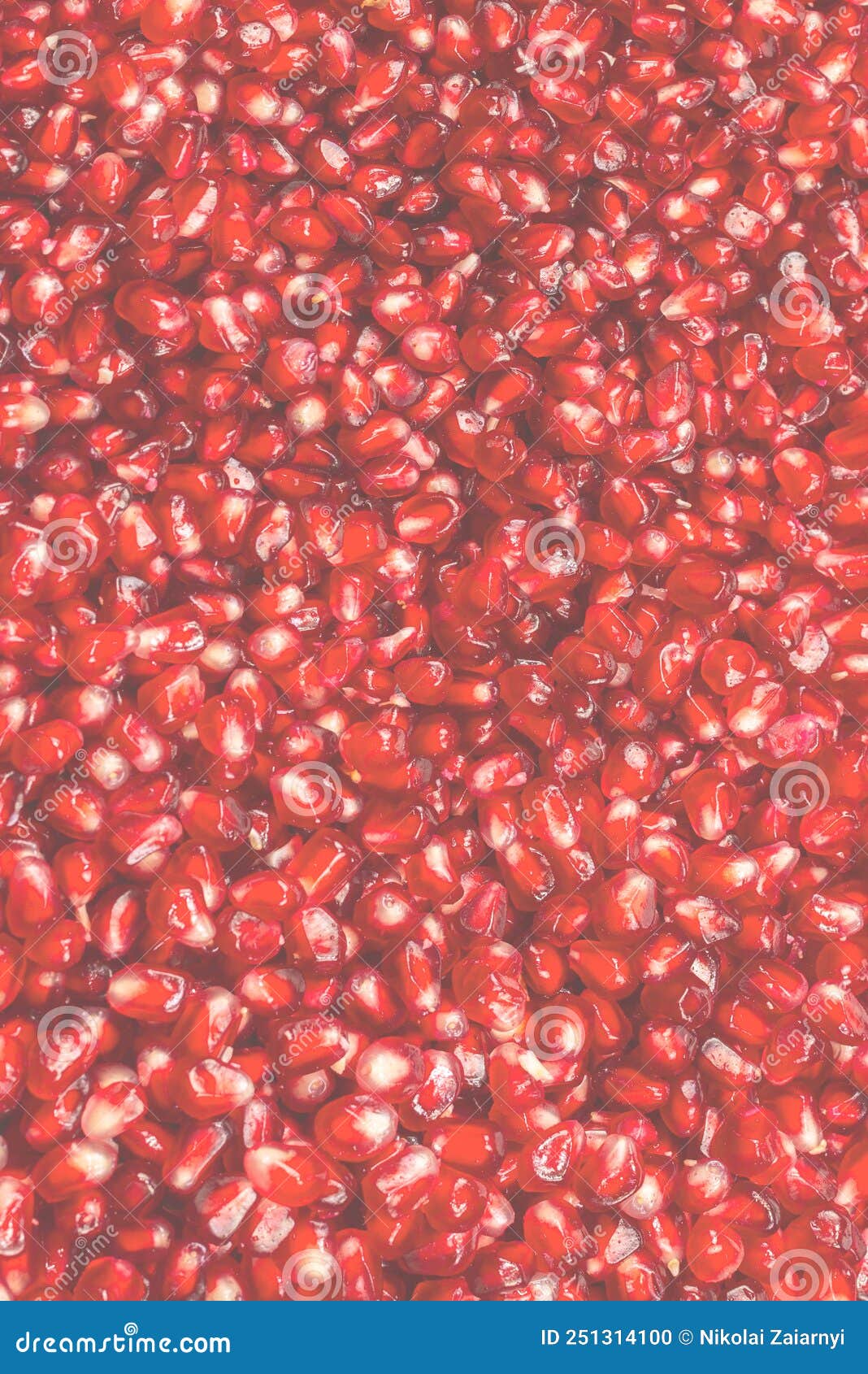 Semillas Granadas Como Fondo Foto de archivo - Imagen de objetos ...