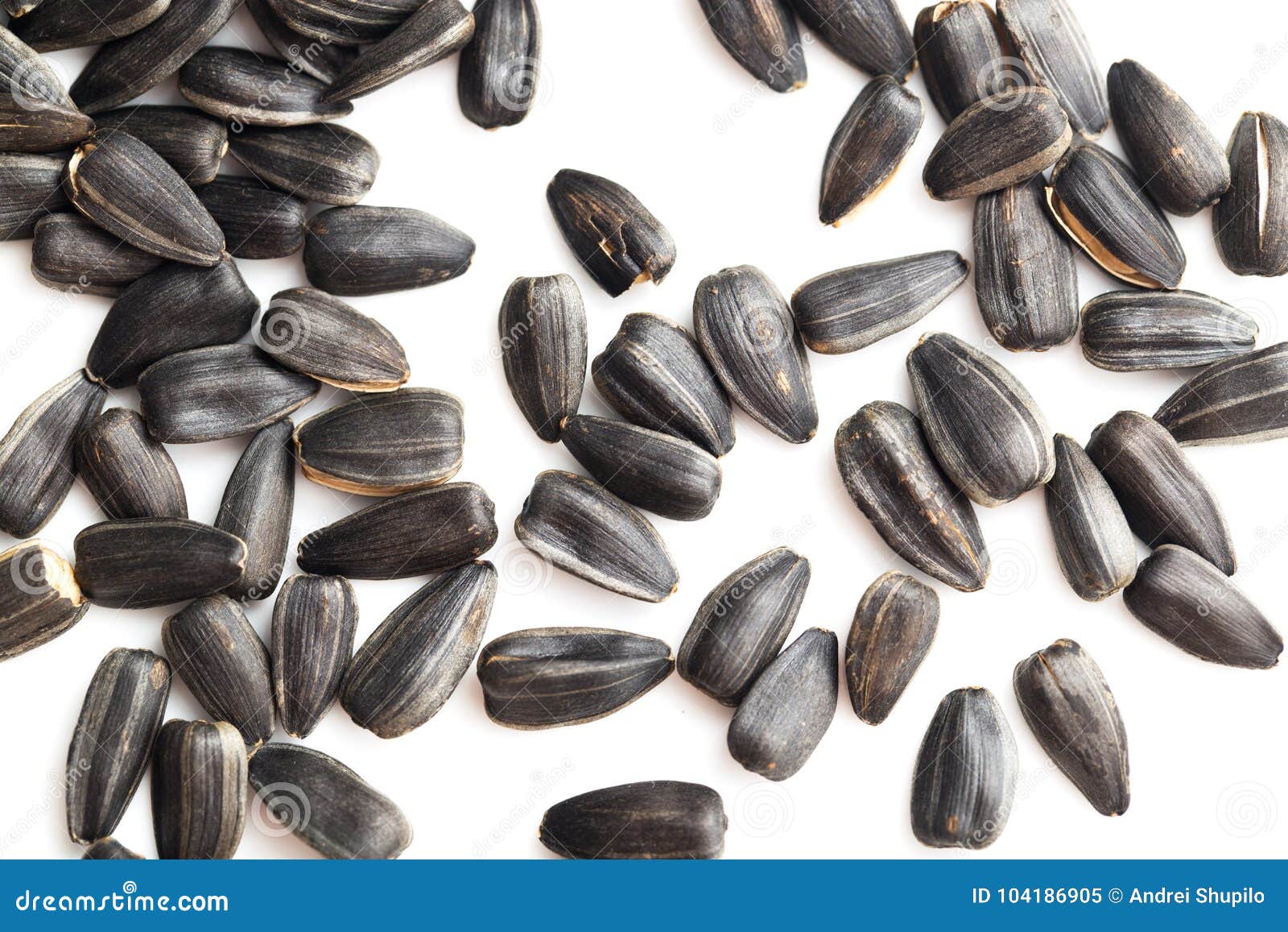 Semillas Negras En Un Fondo Blanco Imagen de archivo - Imagen de ...