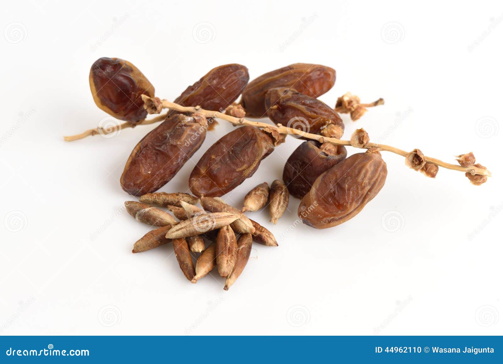 Semillas Y Palma Datilera (Phoenix Dactylifera) Foto de archivo ...