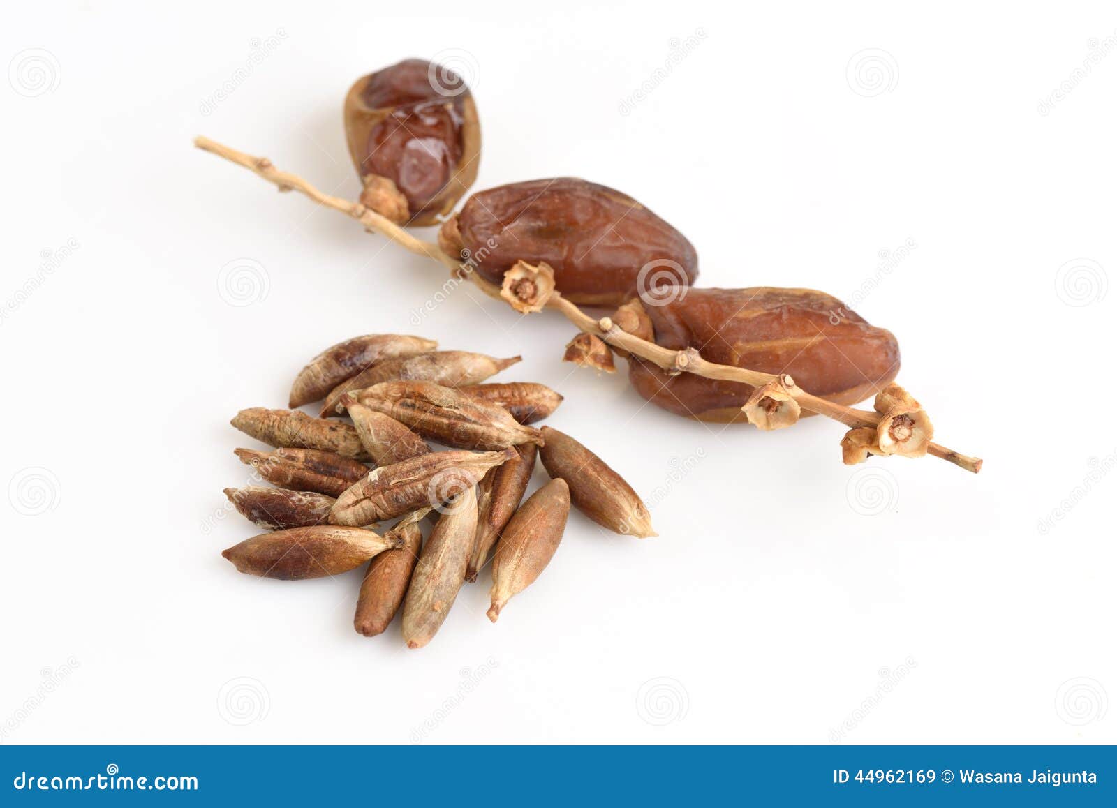 Semillas Y Palma Datilera (Phoenix Dactylifera) Imagen de archivo ...