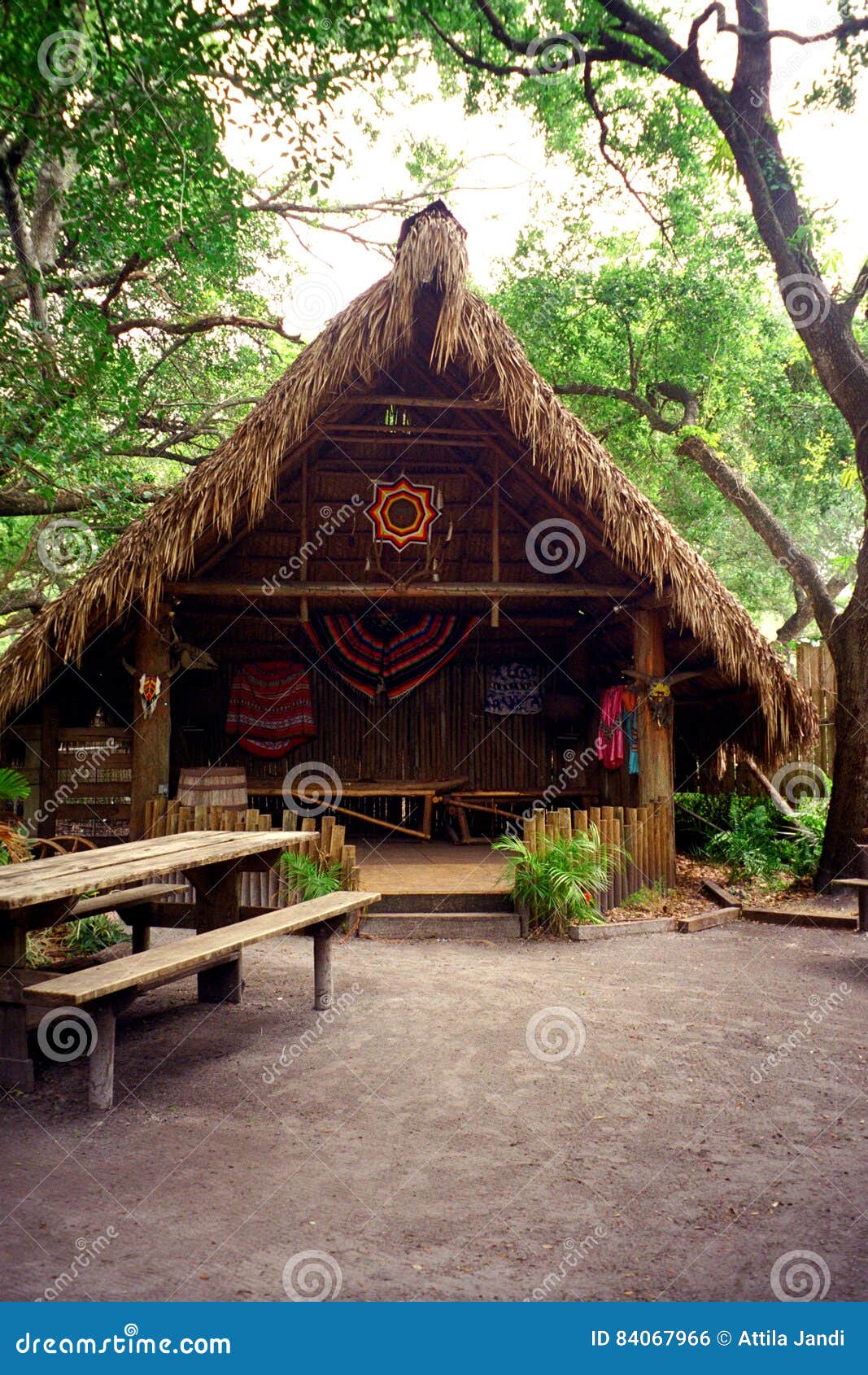 Seminole Indian Hut, Florida, USA Editorial Photo - Image of park ...