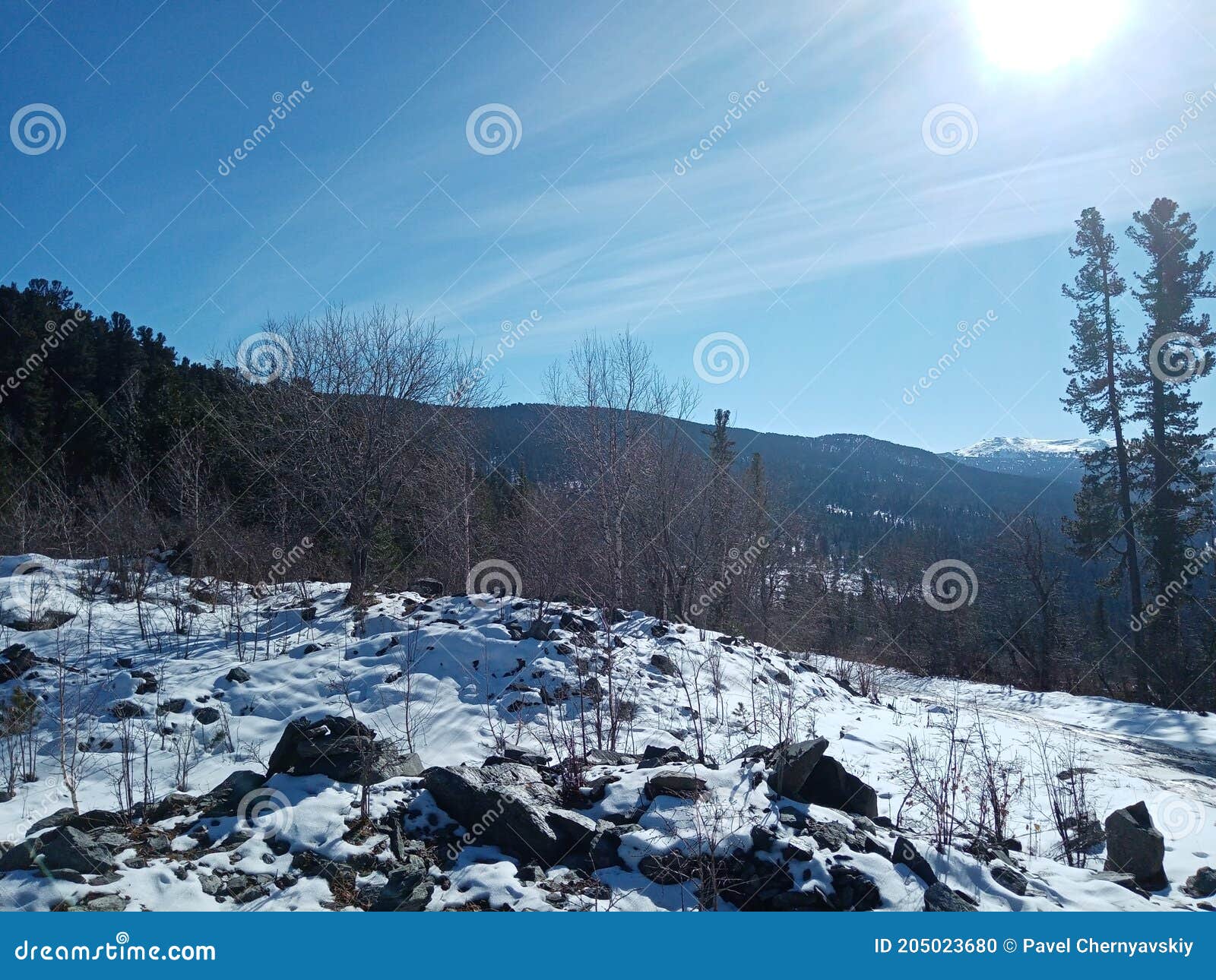 The Seminsky pass stock photo. Image of lake, plant - 205023680