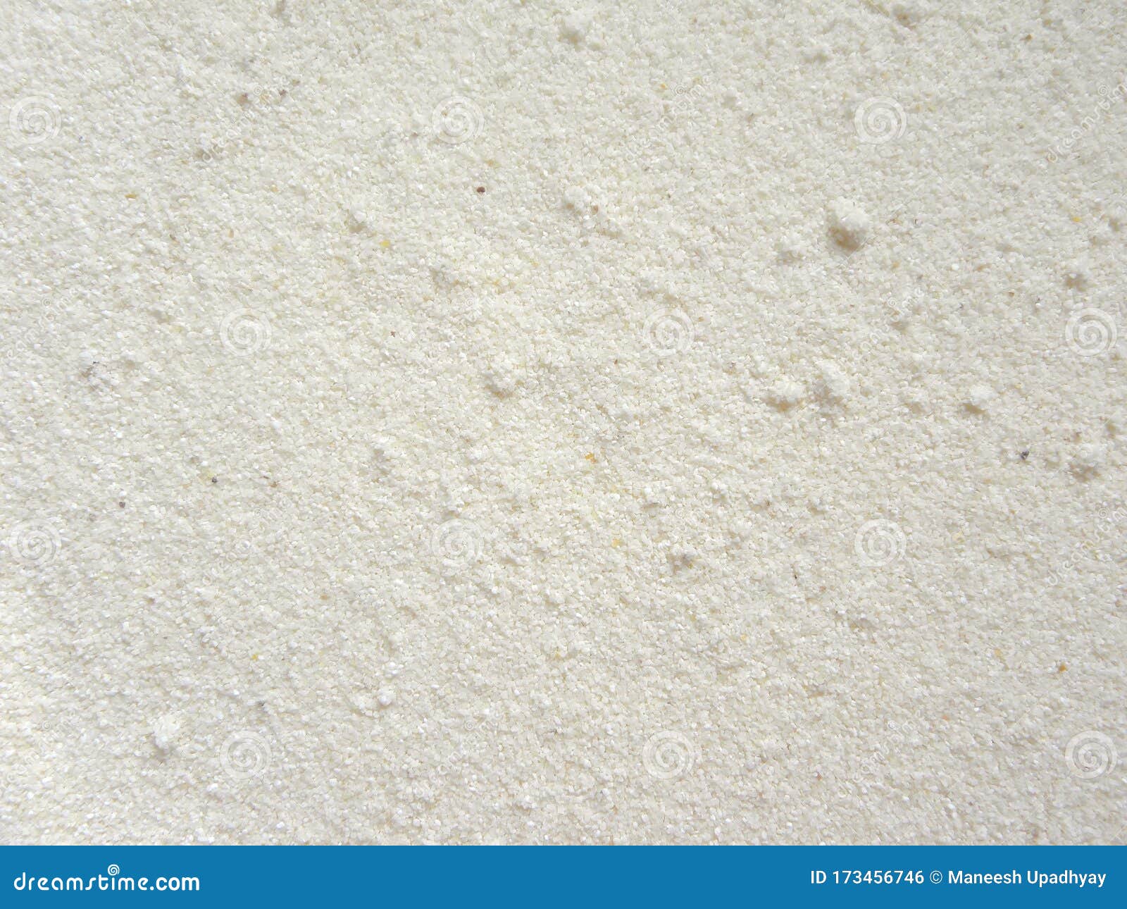 Semolina middlings stock photo. Image of nutrition, eating - 173456746