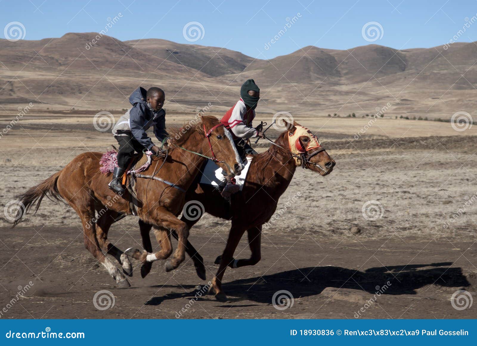 Basotho Racing Pony Editorial Photo | CartoonDealer.com #18930849