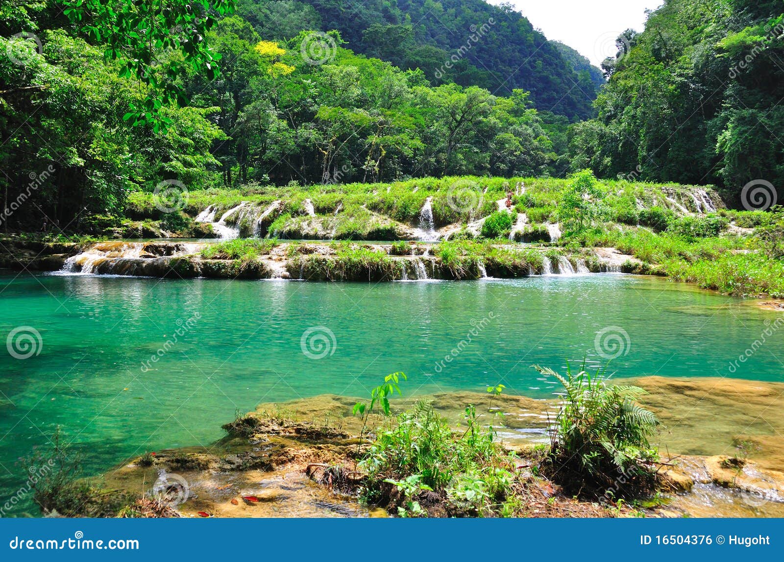 Semuc Champey, Guatemala foto de archivo. Imagen de travieso - 16504376