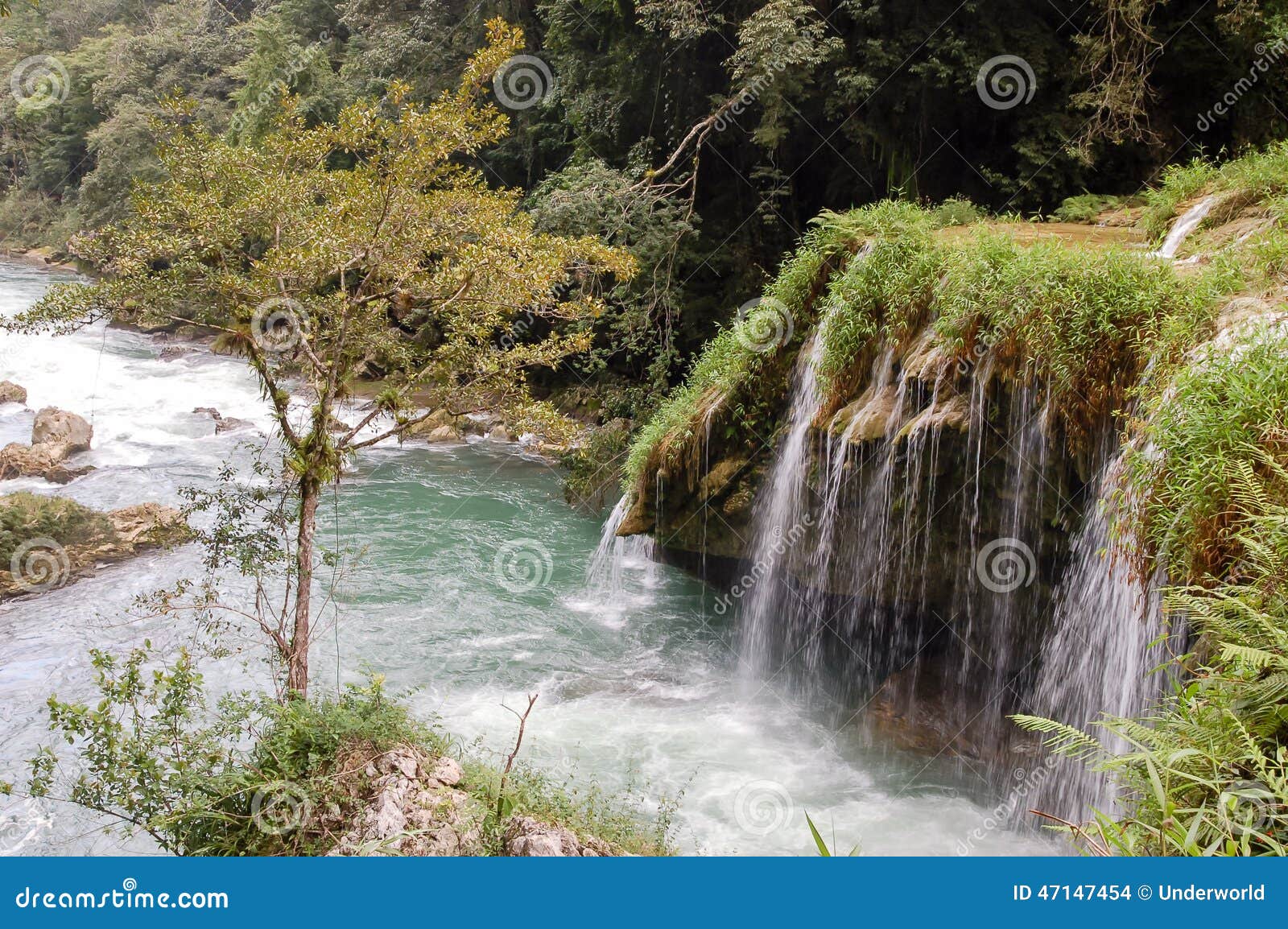 Semuc Champey Guatemala stock photo. Image of lake, falls - 47147454