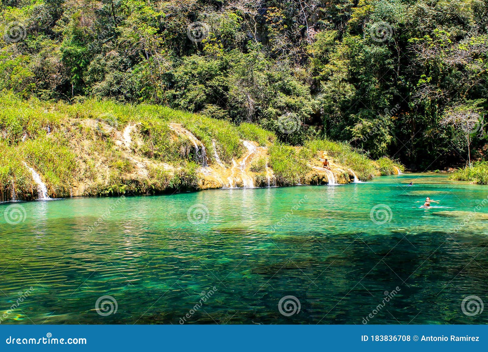 Semuc Champey Natural Pool and .its Turquoise Waters from Riverside ...