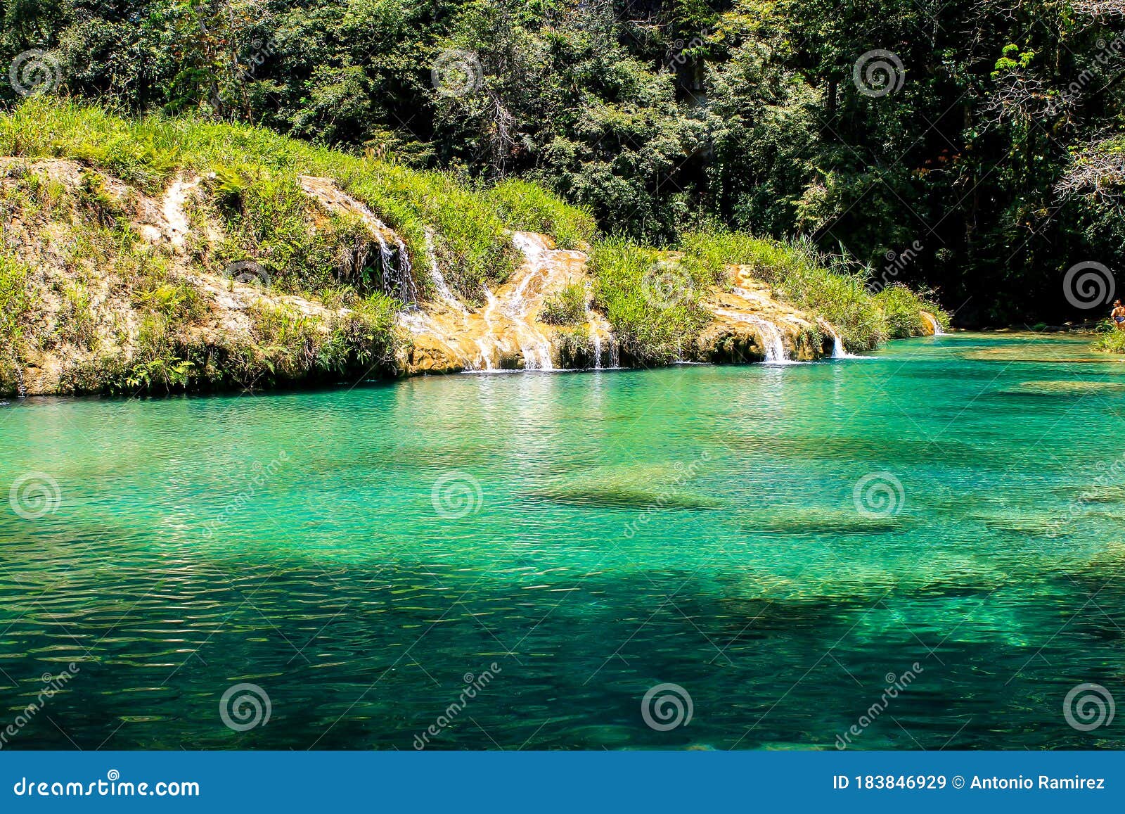 Semuc Champey Natural Pool and .its Turquoise Waters from Riverside ...
