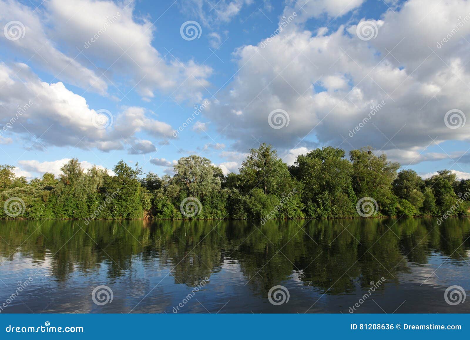 Sena River Trees Reflection on Water Stock Photo - Image of scene ...