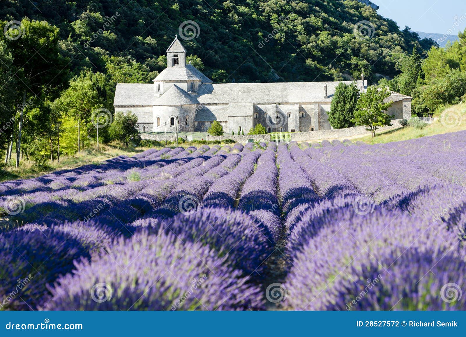 Senanque Abbey, Provence, France Stock Photo - Image of historical ...