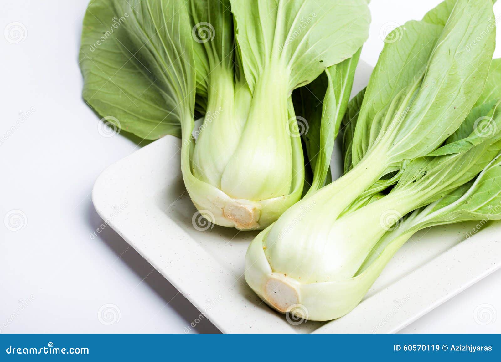 Senape cinese verde fresca immagine stock. Immagine di grezzo - 60570119