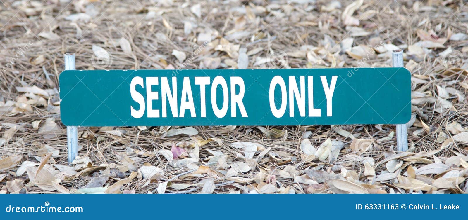 Senator only Parking Sign stock image. Image of designated - 63331163