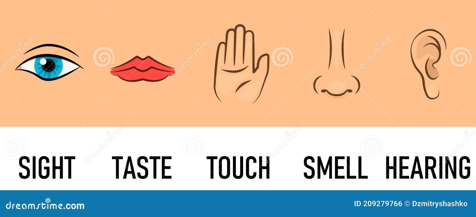 Sences Cartoons, Illustrations & Vector Stock Images - 18 Pictures to ...