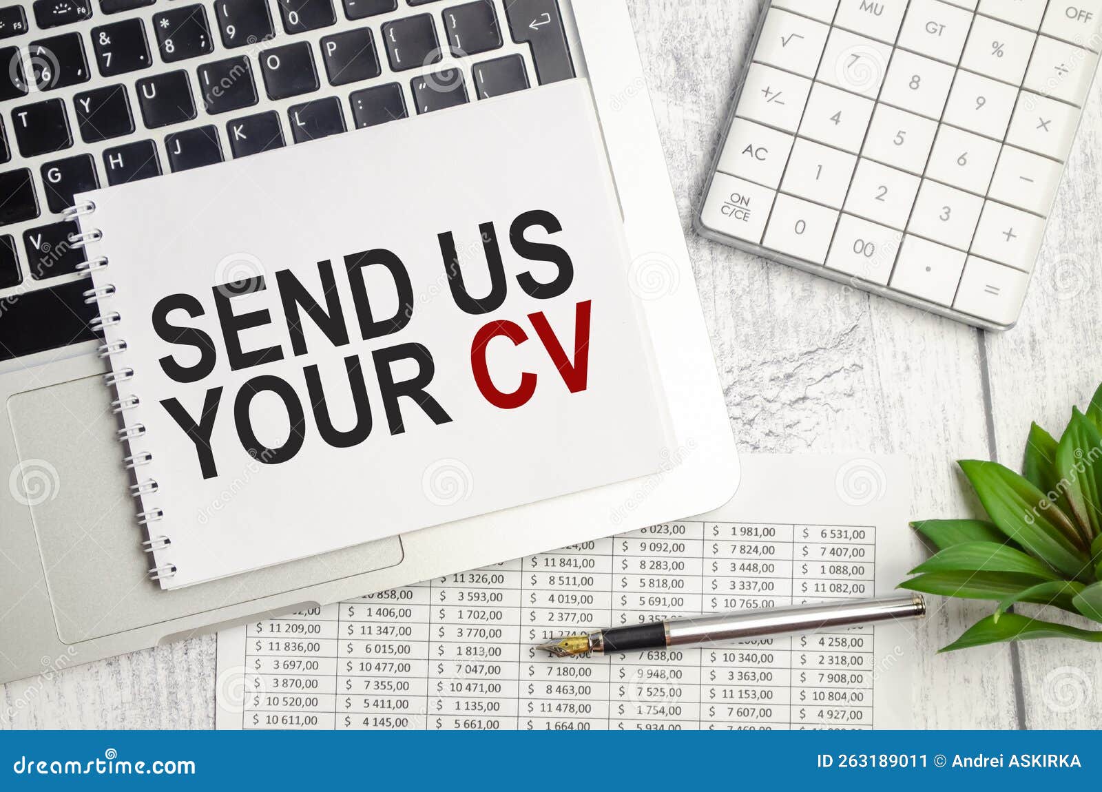 Send Us Your Cv Words on Notebook with Laptop and Charts Stock Image ...
