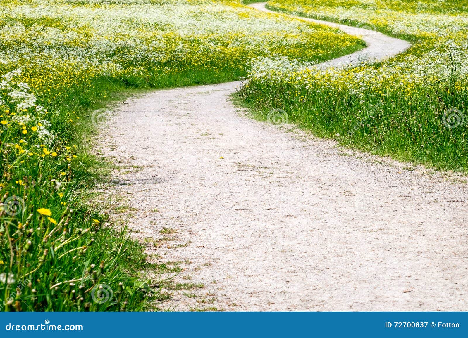 Sendero imagen de archivo. Imagen de parte, viejo, paisaje - 72700837