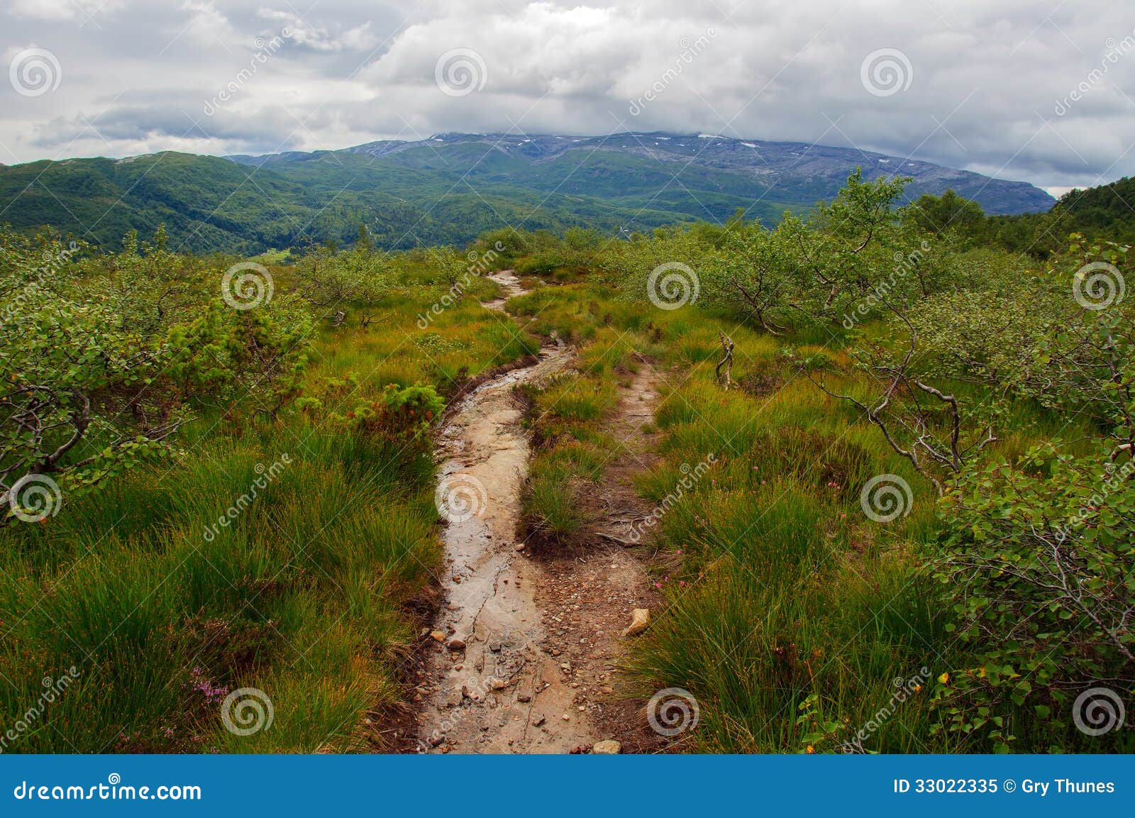 Sendero en las montañas imagen de archivo. Imagen de senderismo - 33022335