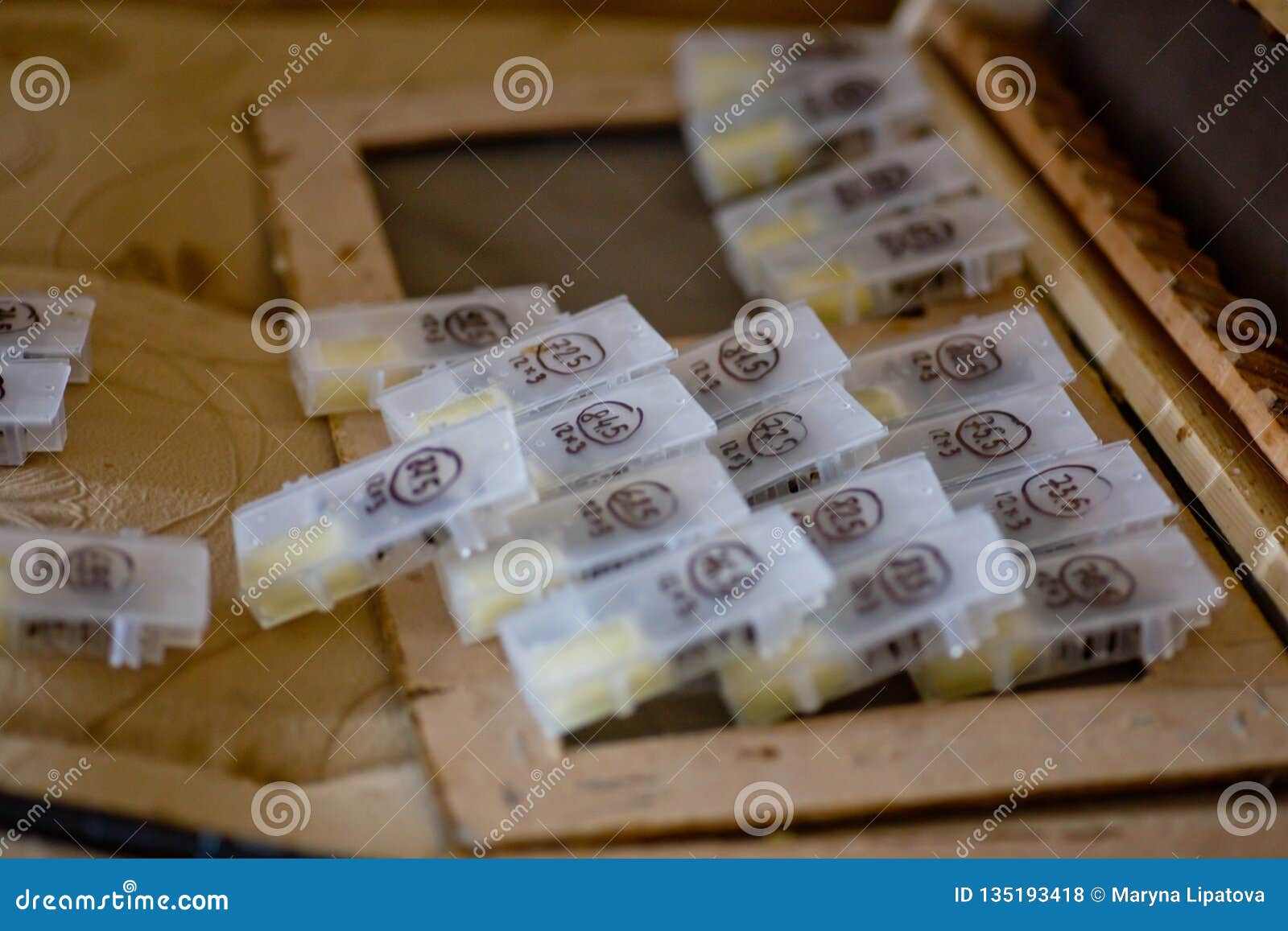 Sending Bees and Queen Bees in Boxes Mail. Boxes for Queen Bees ...