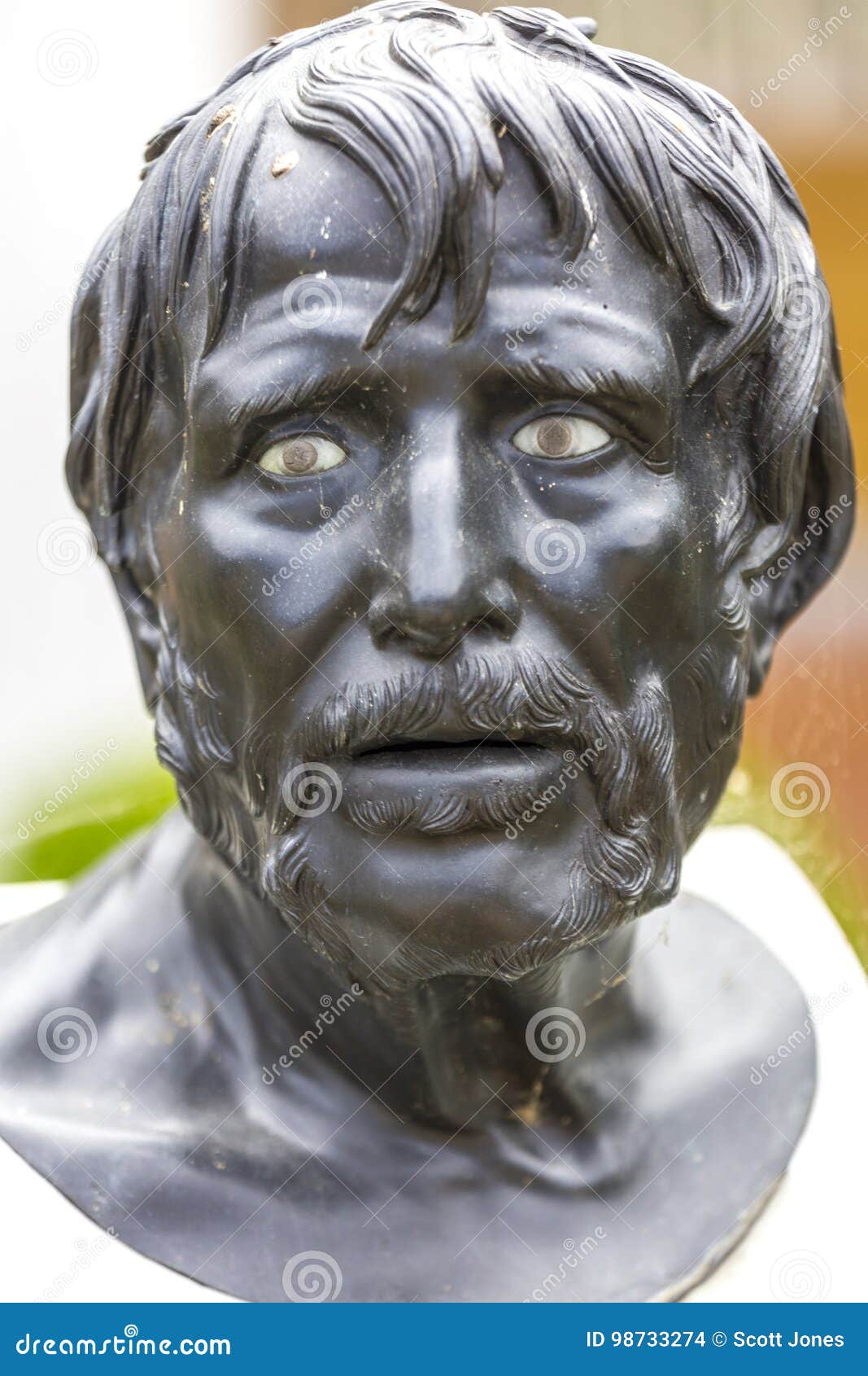 Seneca Stock Photos - Download 1,448 Royalty Free Photos