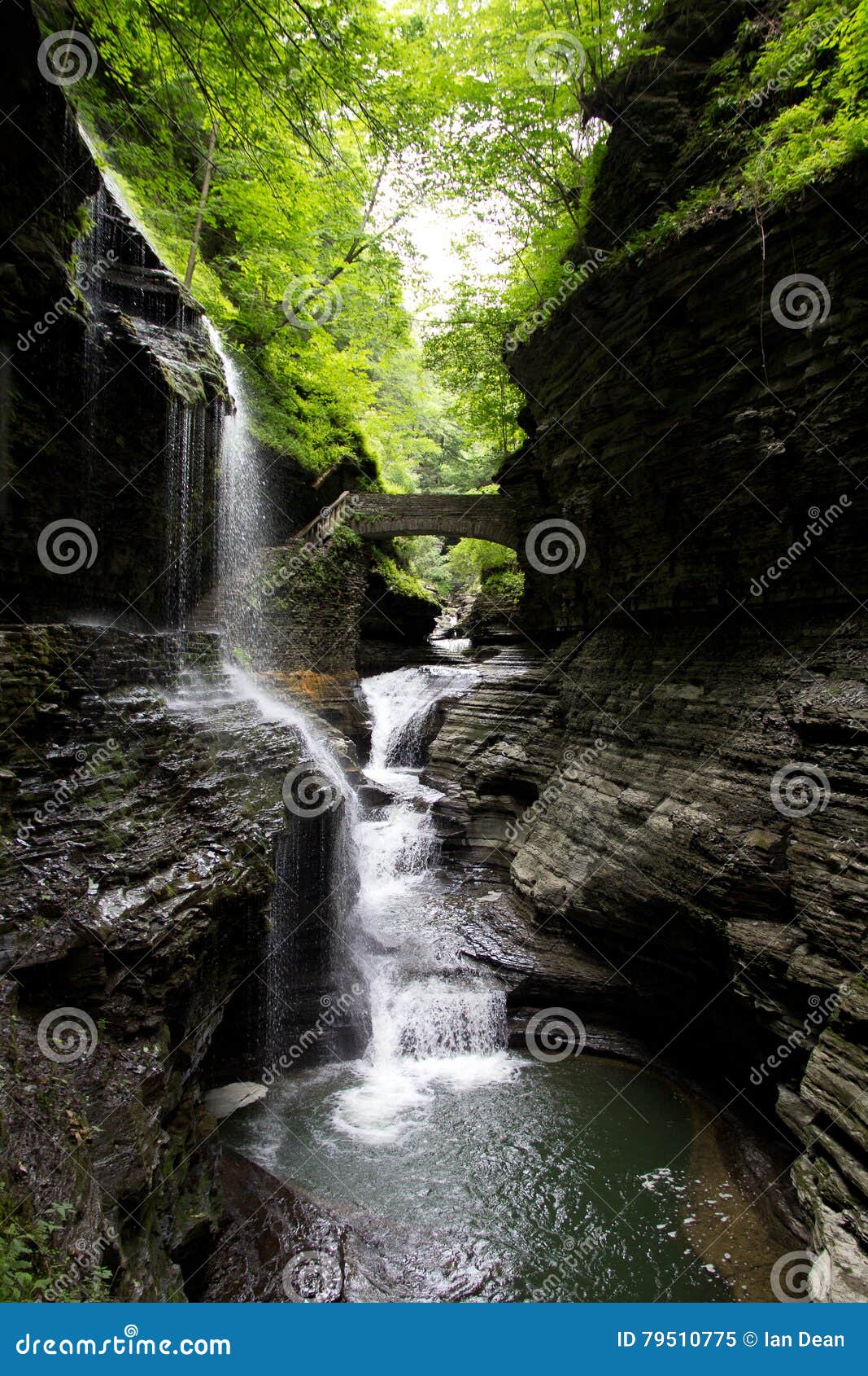Seneca Falls Gorge stock image. Image of trees, rocky - 79510775