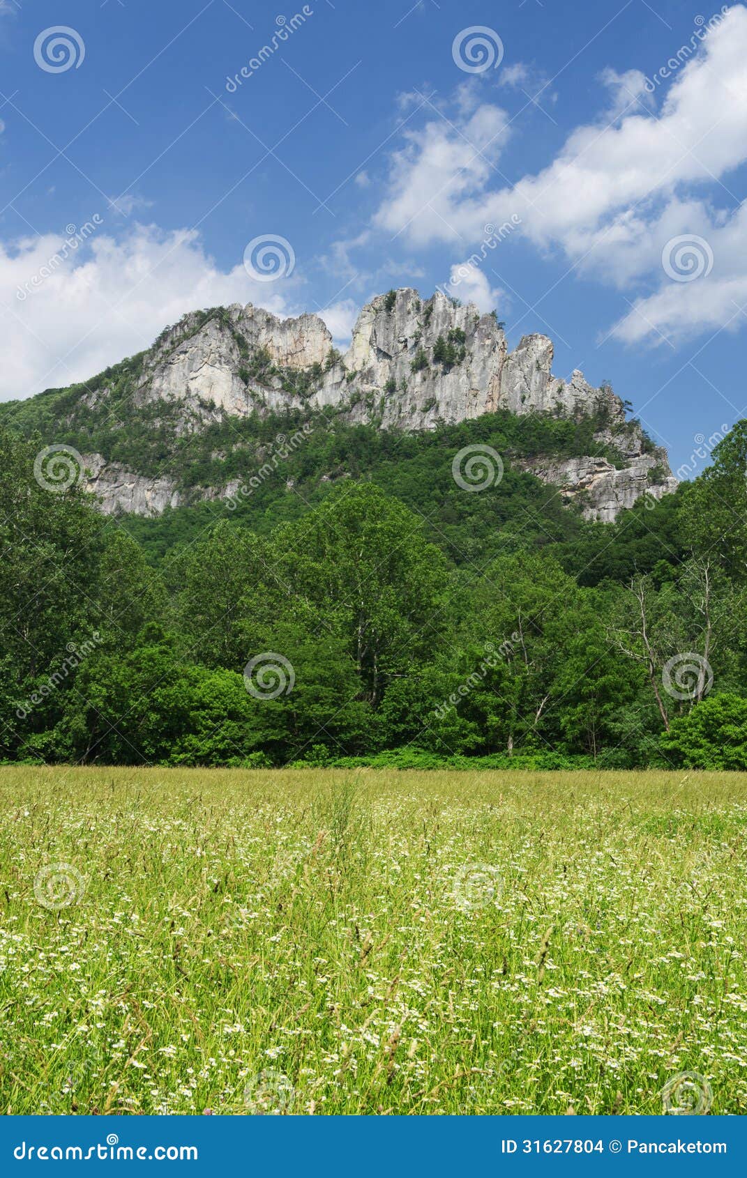 Seneca Rocks stock photo. Image of geology, formation - 31627804