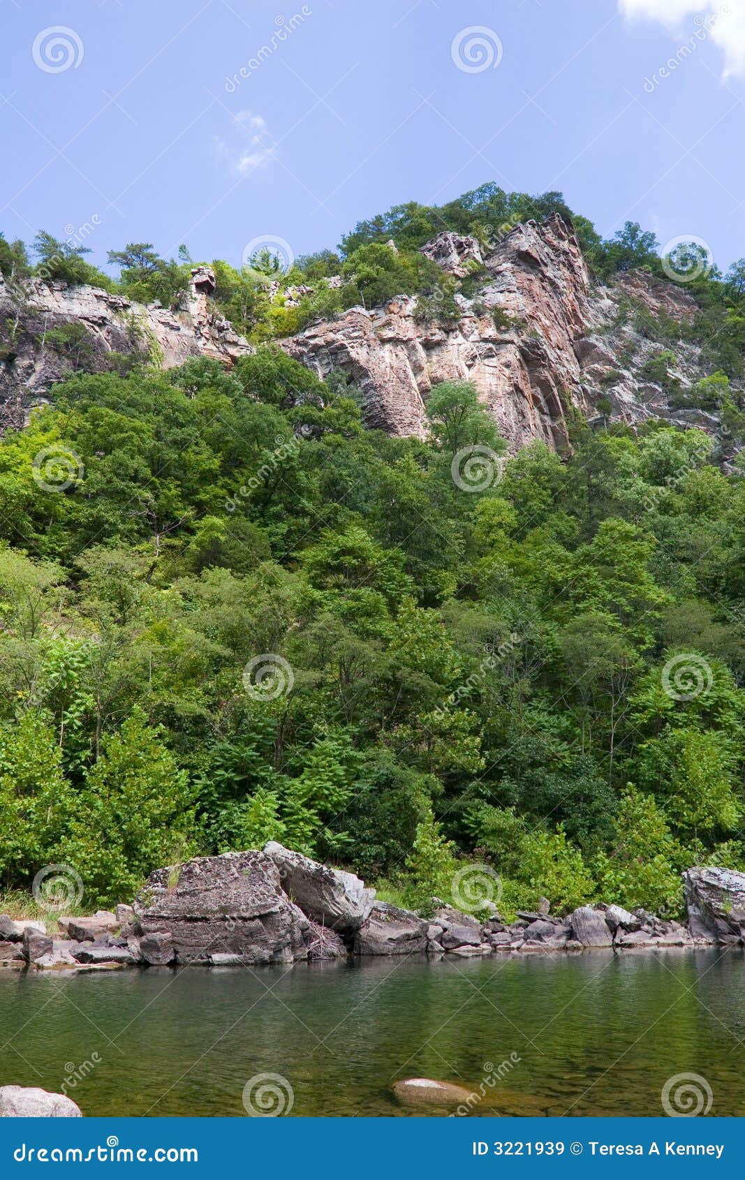 Seneca - Rocks, Trees, River Stock Image - Image of eroded, hill: 3221939