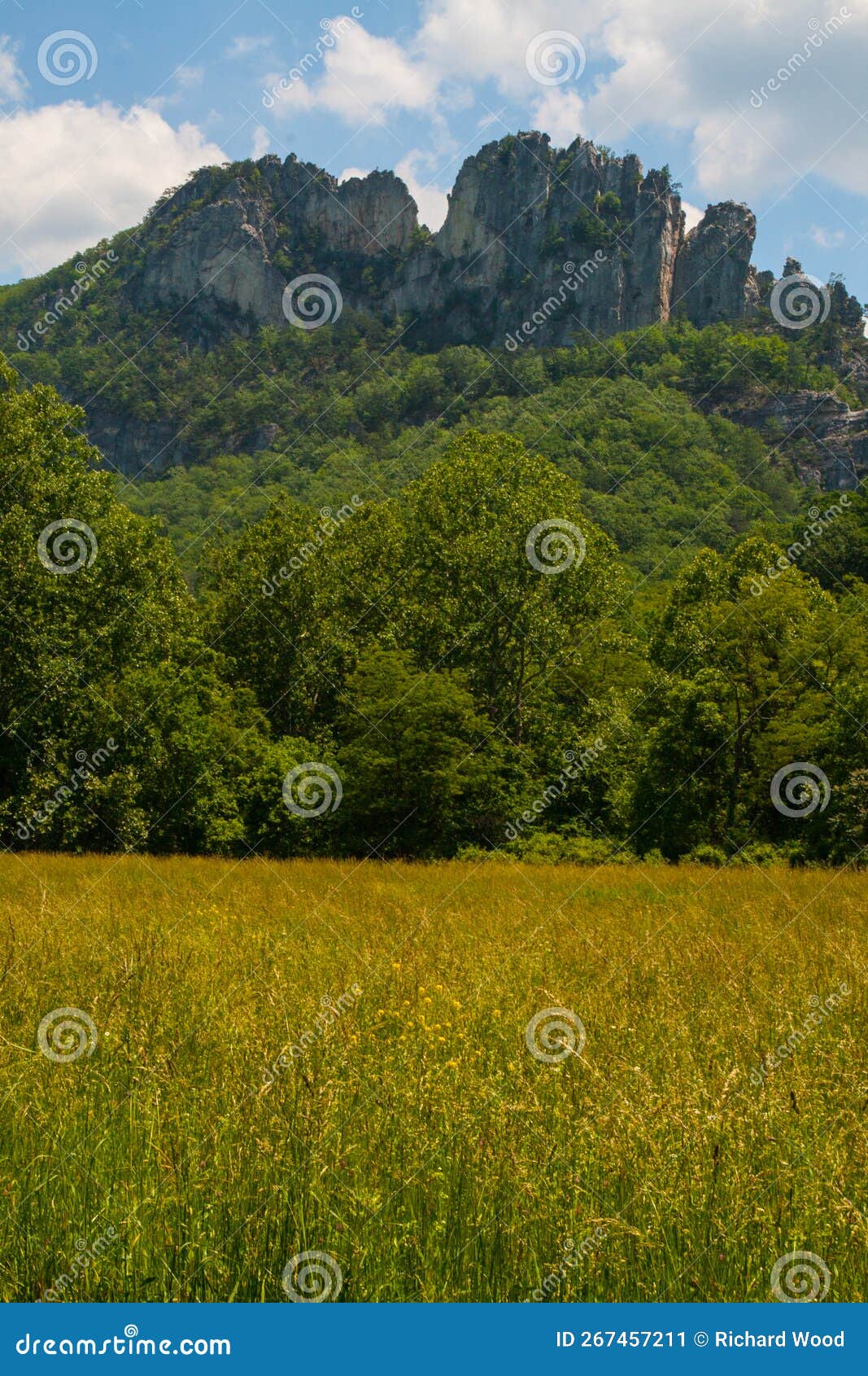 Seneca Rocks, West Virginia Stock Image - Image of mountain, west ...