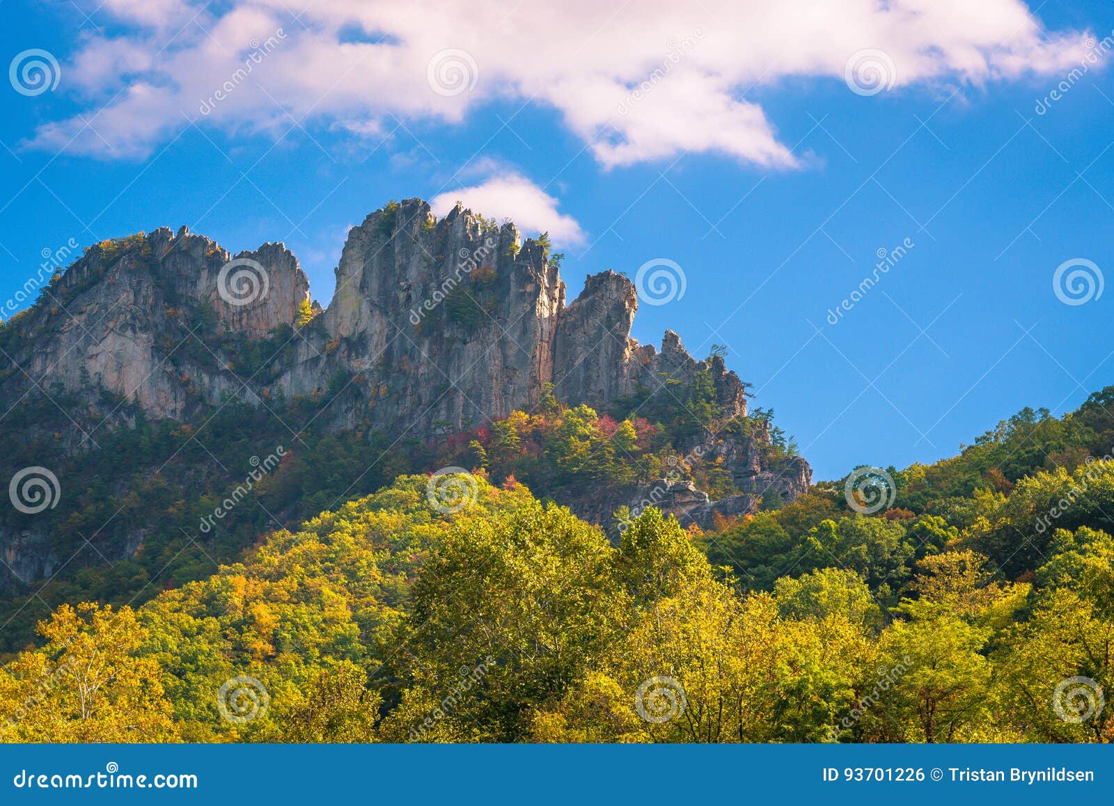 Seneca Rocks stock photo. Image of season, area, nature - 93701226