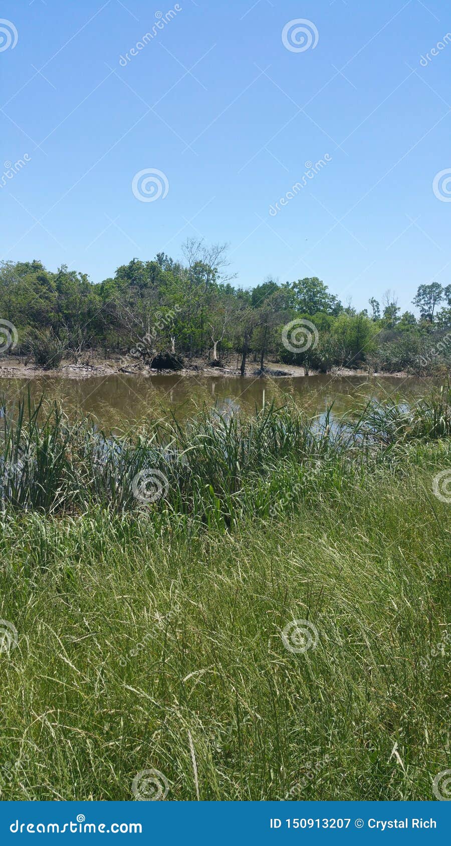 Senery Stock Images - Download 580 Royalty Free Photos