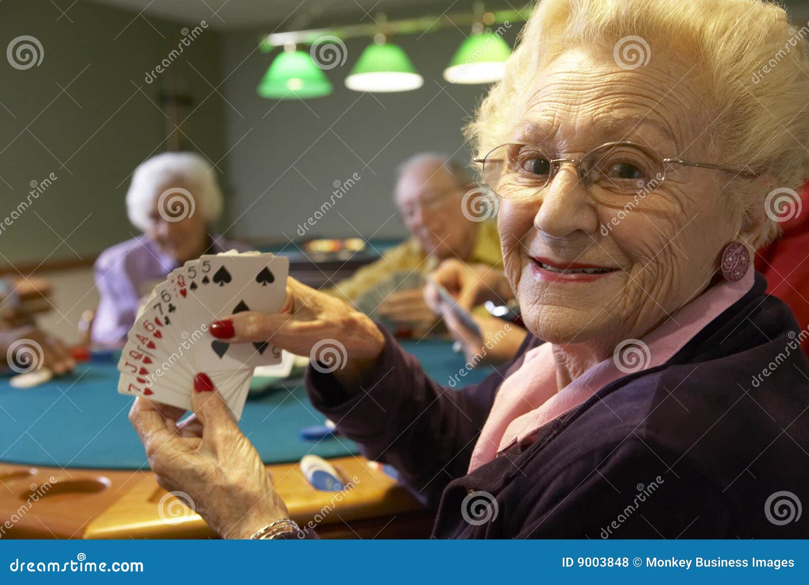 Senior Adults Playing Bridge Stock Photo - Image of four, leisure: 9003848