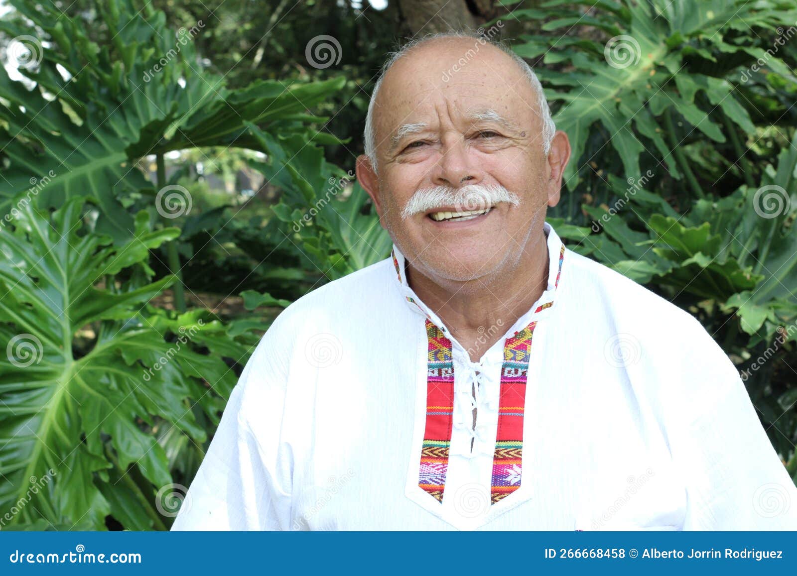 Senior Bald Hispanic Man with a Mustache Stock Photo - Image of aged ...