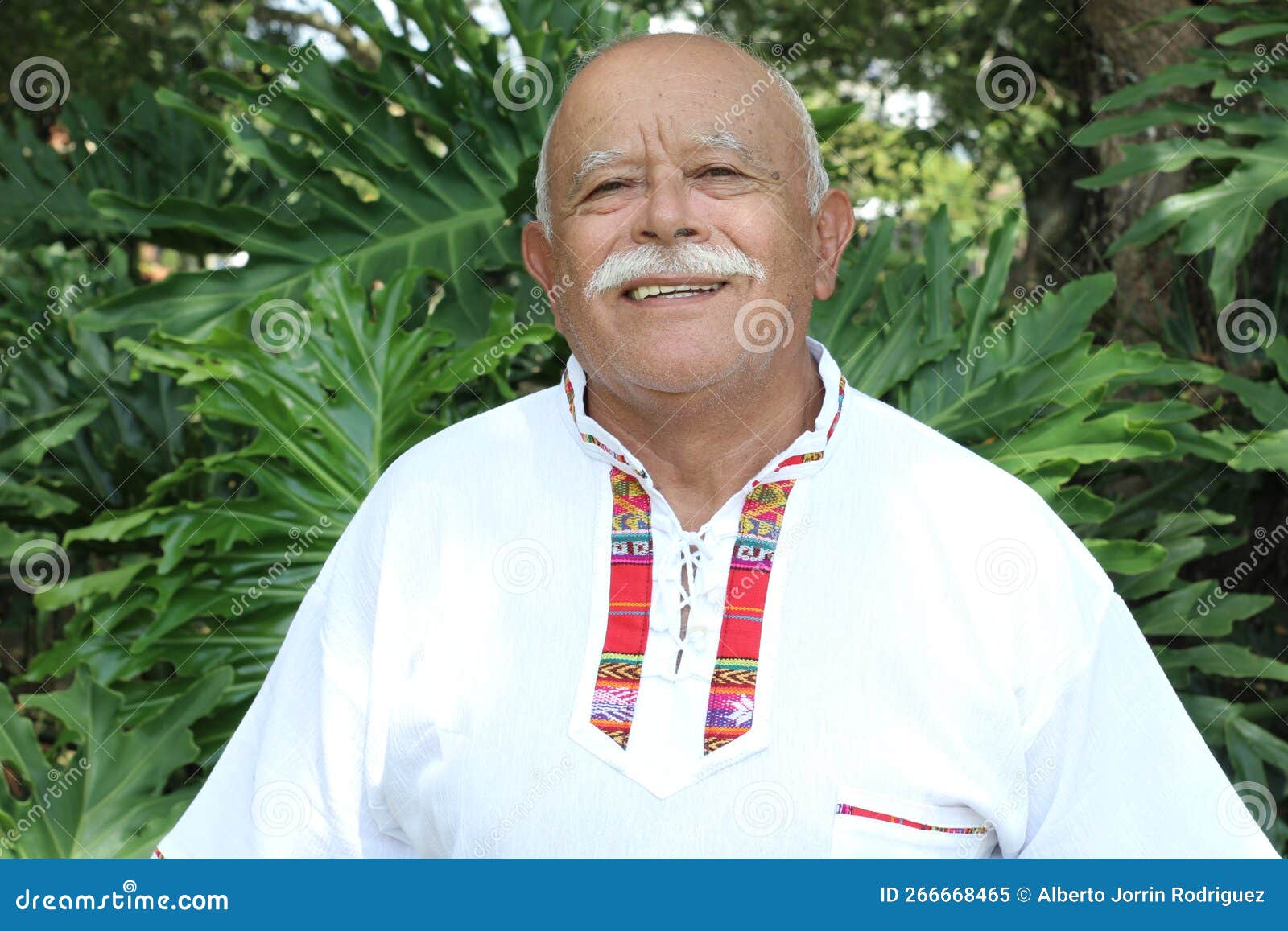 Senior Bald Hispanic Man with a Mustache Stock Image - Image of ...