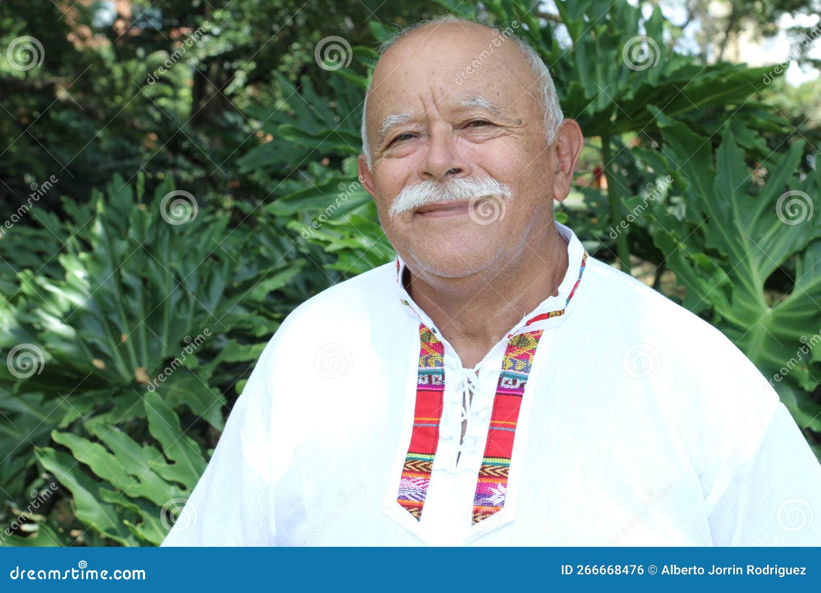 Senior Bald Hispanic Man with a Mustache Stock Photo - Image of face ...
