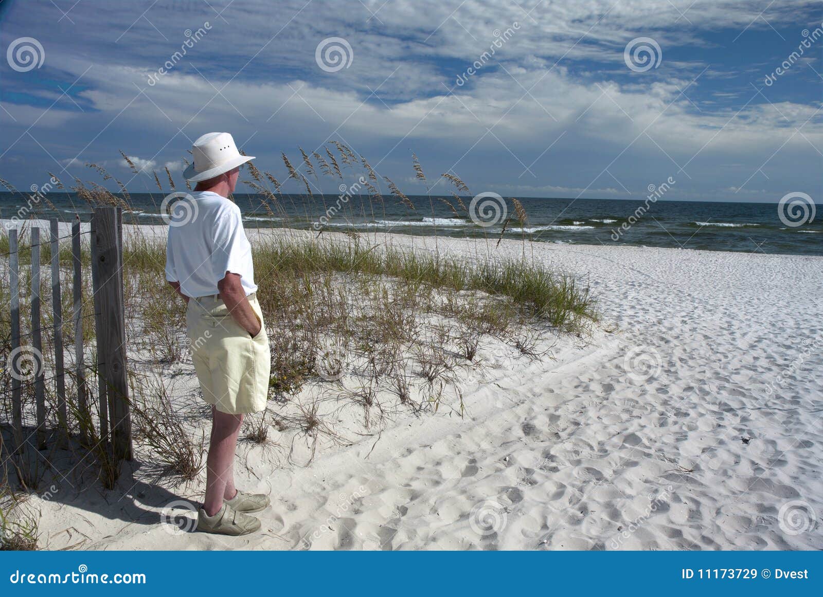 Senior at the Beach stock image. Image of senior, alone - 11173729